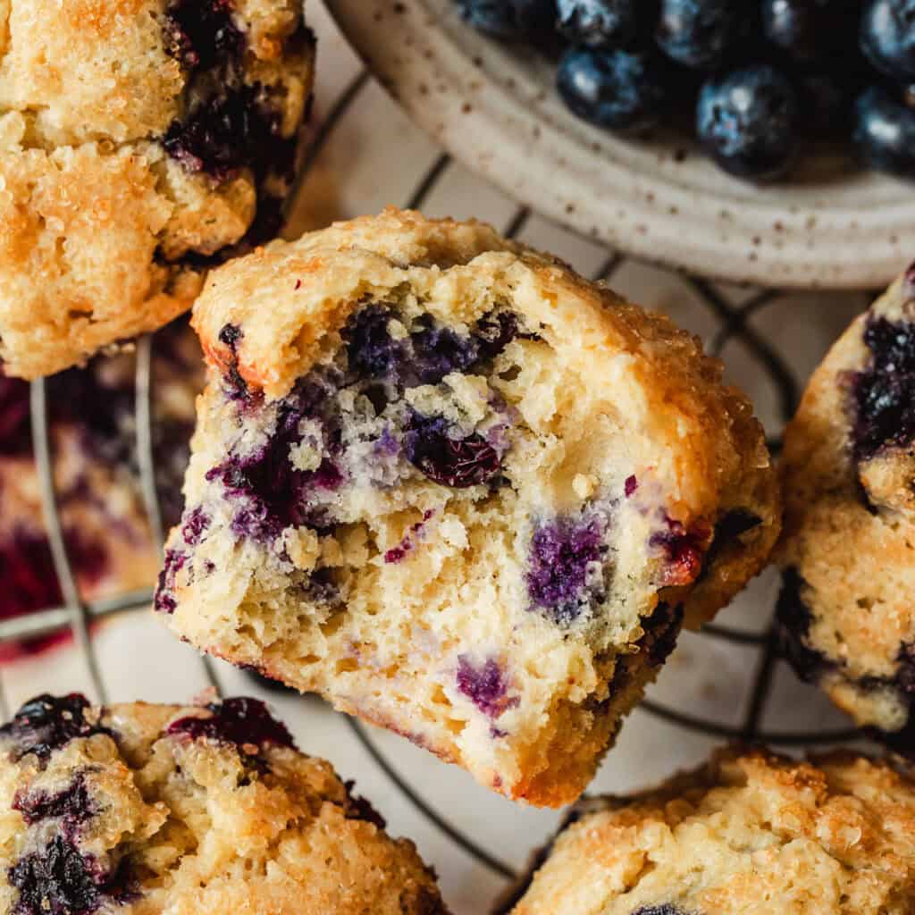 Amazing Small Batch Blueberry Muffins | Midnight Bake Club