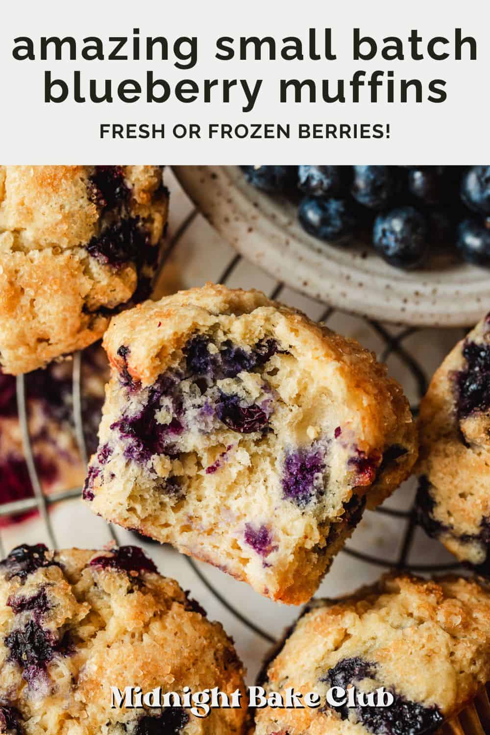 Amazing Small Batch Blueberry Muffins | Midnight Bake Club